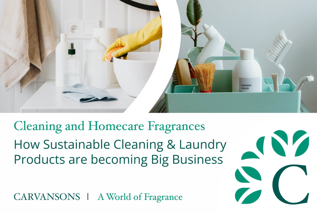 Sustainable Cleaning & Laundry Products are Big Business