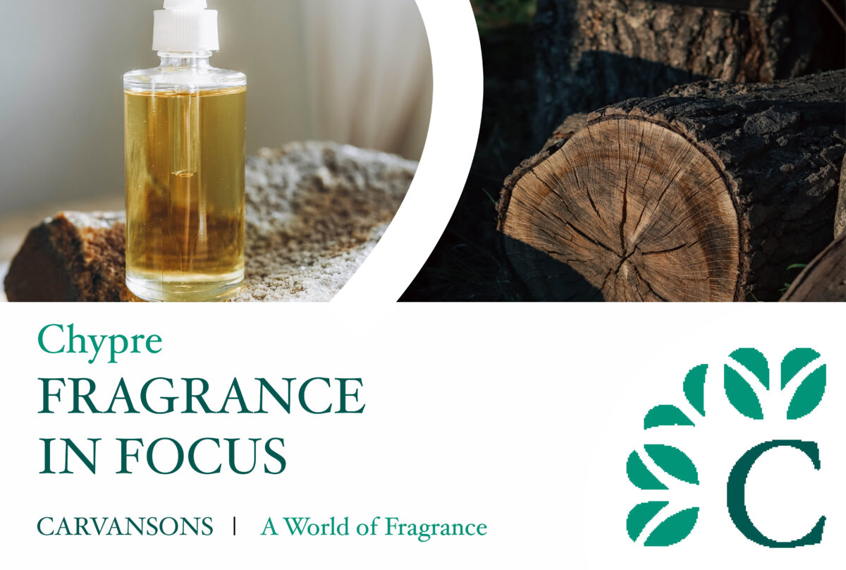 What are Chypre Fragrances? - Fragrance Categories - Chypre