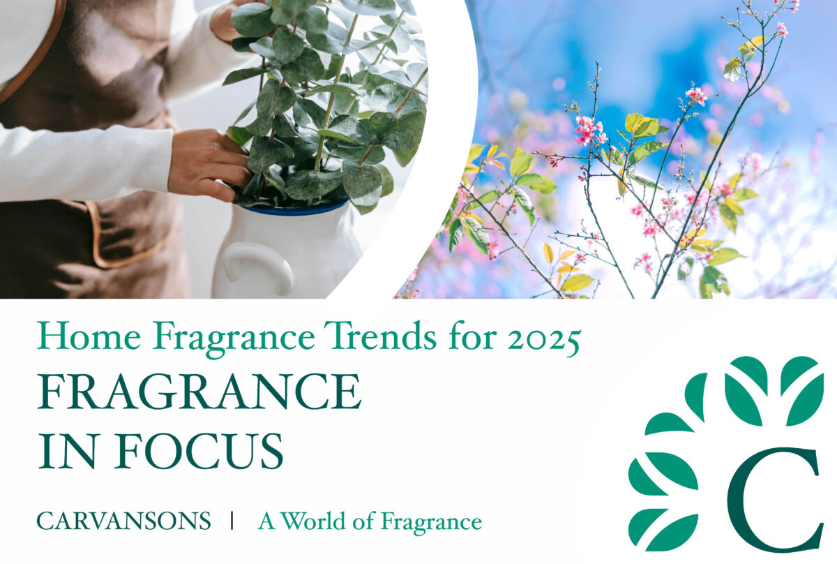 Home fragrance trends: Best Air Freshener and Room Scents