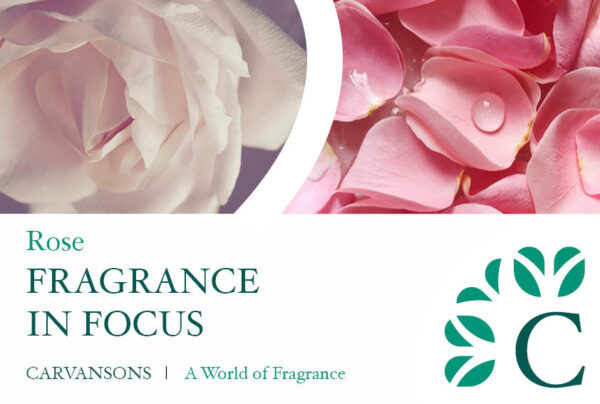 Rose Fragrances are Rocking Fragrance Trends Right Now